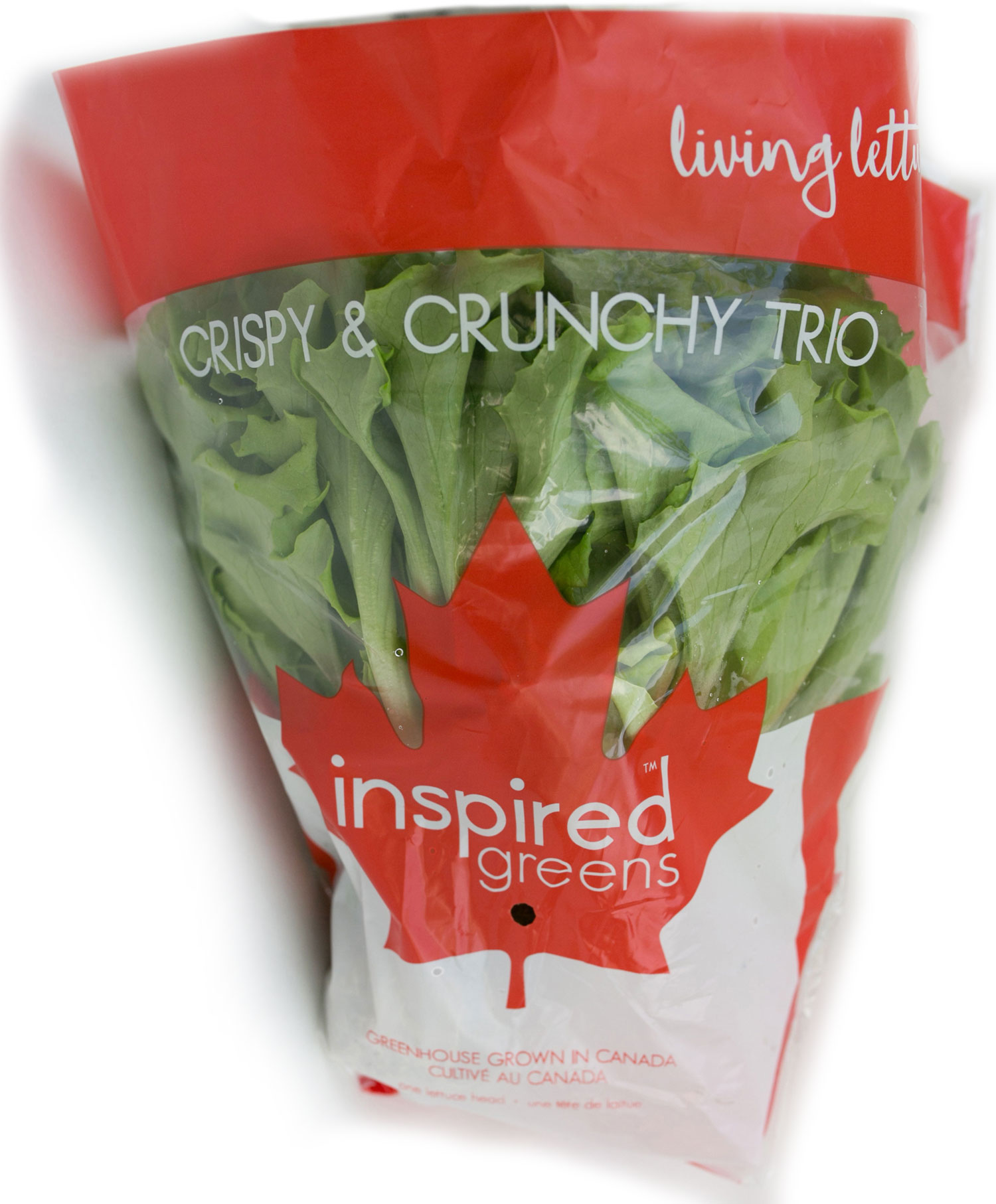 Wholesale Produce Toronto